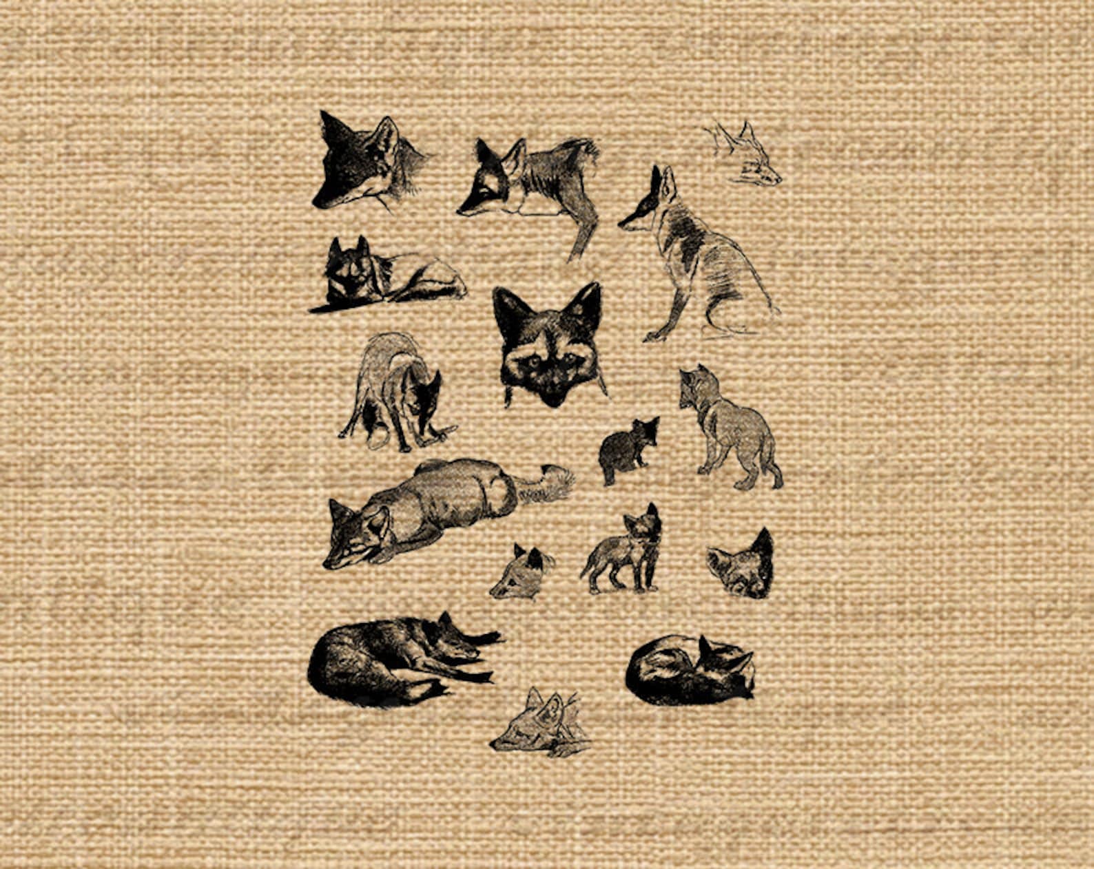 Fox Collage Sheet Graphic Digital Download Foxes Printable - Etsy