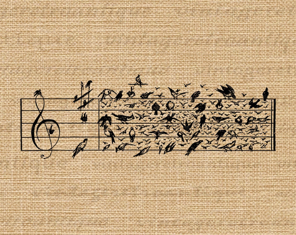 Birds Music Notes Printable Image Graphic Musical (Download Now) - Etsy