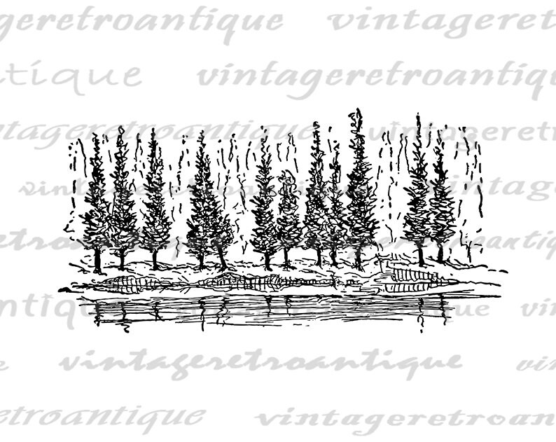 Printable Digital Pine Trees Download Antique Image Graphic - Etsy
