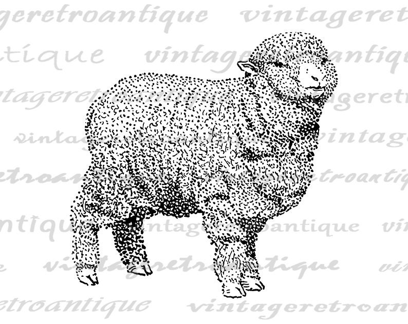 Printable Sheep Digital Image Vintage Sheep Illustration - Etsy