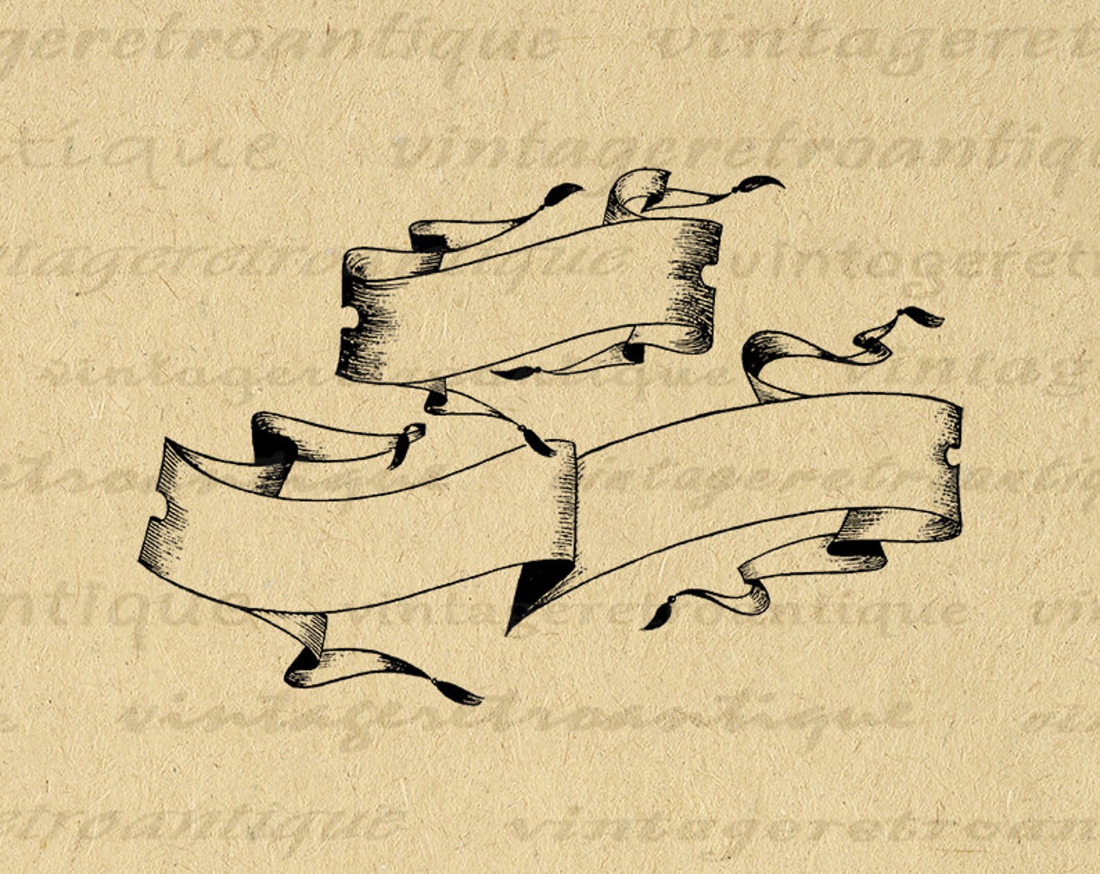 Digital Graphic Blank Scroll Banner Download Paper Scroll - Etsy