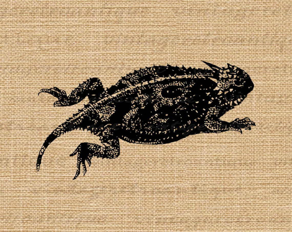 Digital Horned Toad Image Printable Frog Illustration Graphic | Etsy