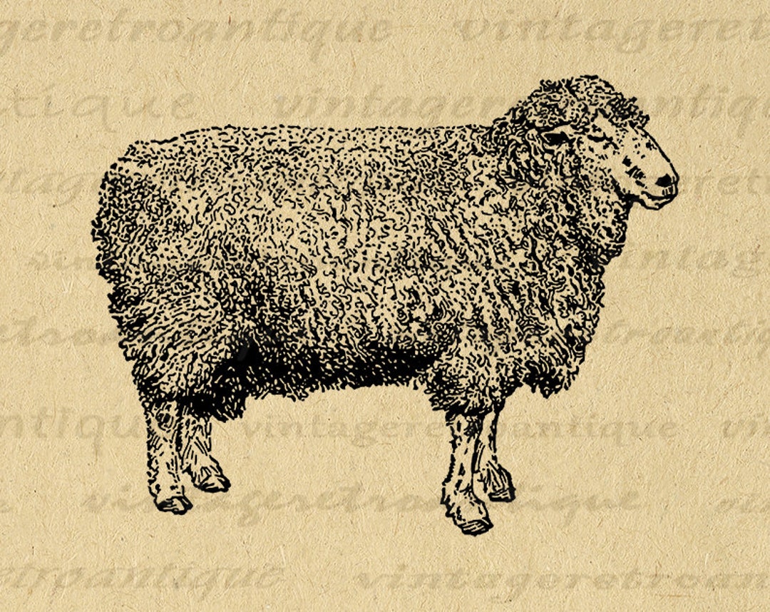 Vintage Sheep Artwork Printable Farm Animal Graphic Digital Image ...