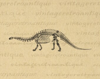 Brontosaurus Dinosaur Skeleton Printable Digital Graphic Image | Etsy