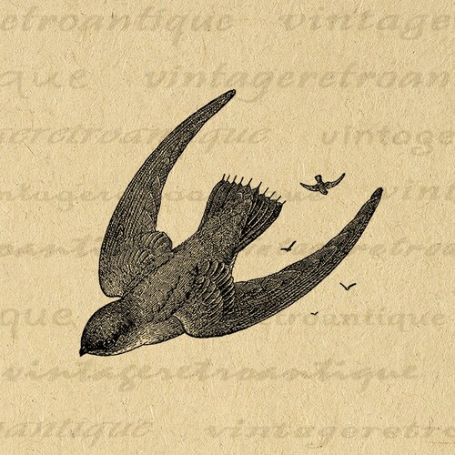 Digital Flying Birds Printable Image Graphic Bird Illustration - Etsy