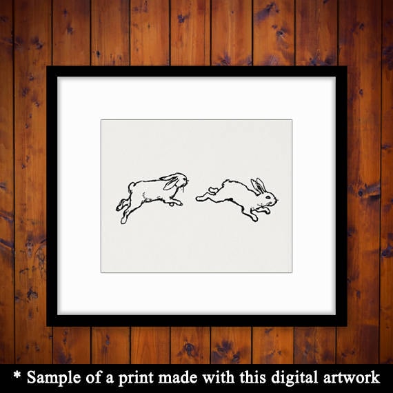 Rabbit Running Sequence