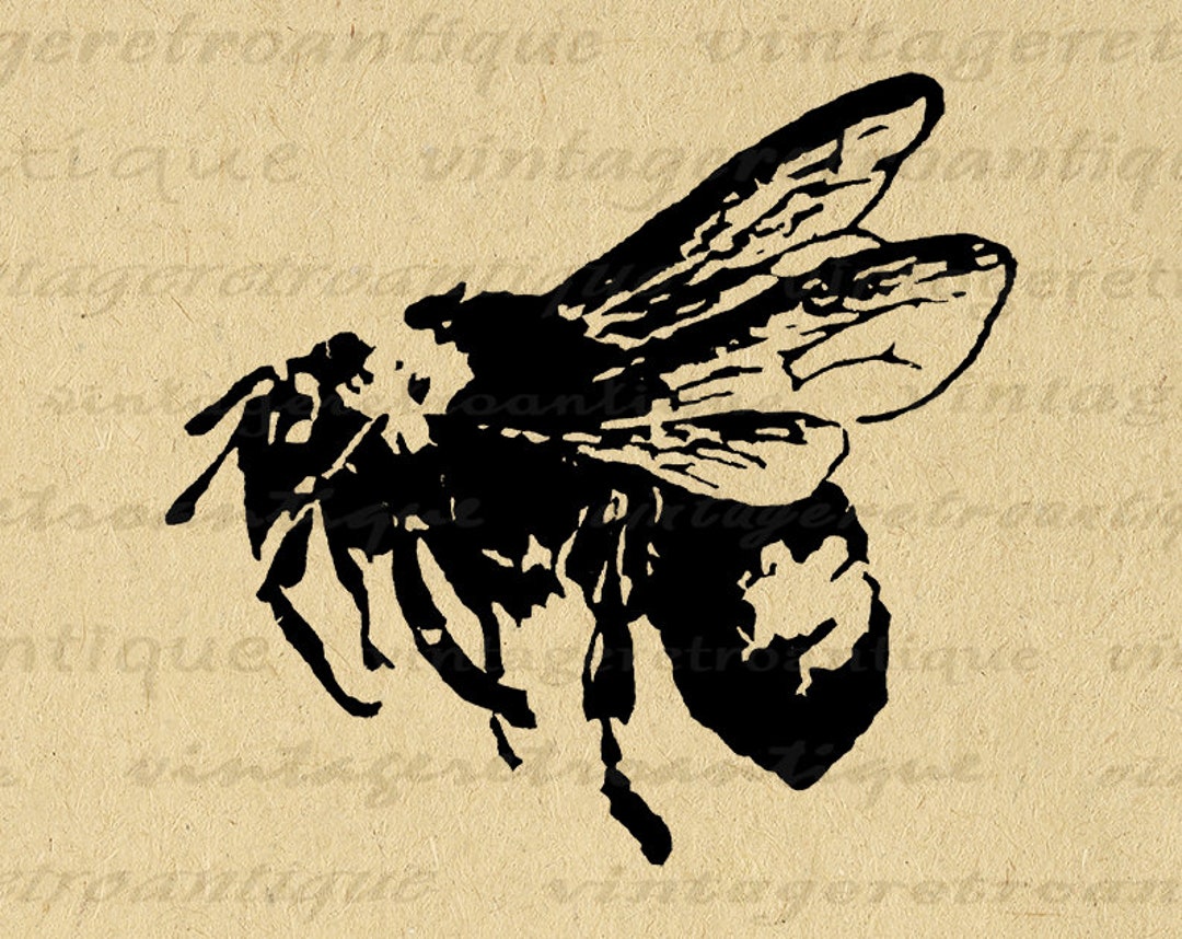 Antique Bee Digital Image Download Vintage Illustrated Bumblebee ...