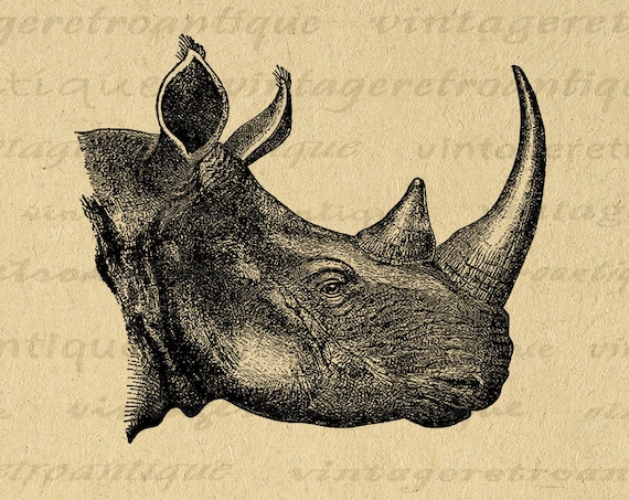 Printable Rhinoceros Graphic Digital Rhino Image Download | Etsy