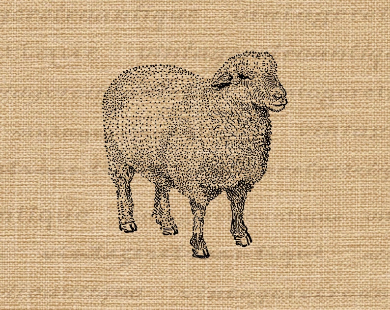 Printable Sheep Artwork Digital Sheep Image Instant Download Farm ...