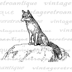 Printable Fox Antique Graphic Fox Illustration Digital Image Download ...