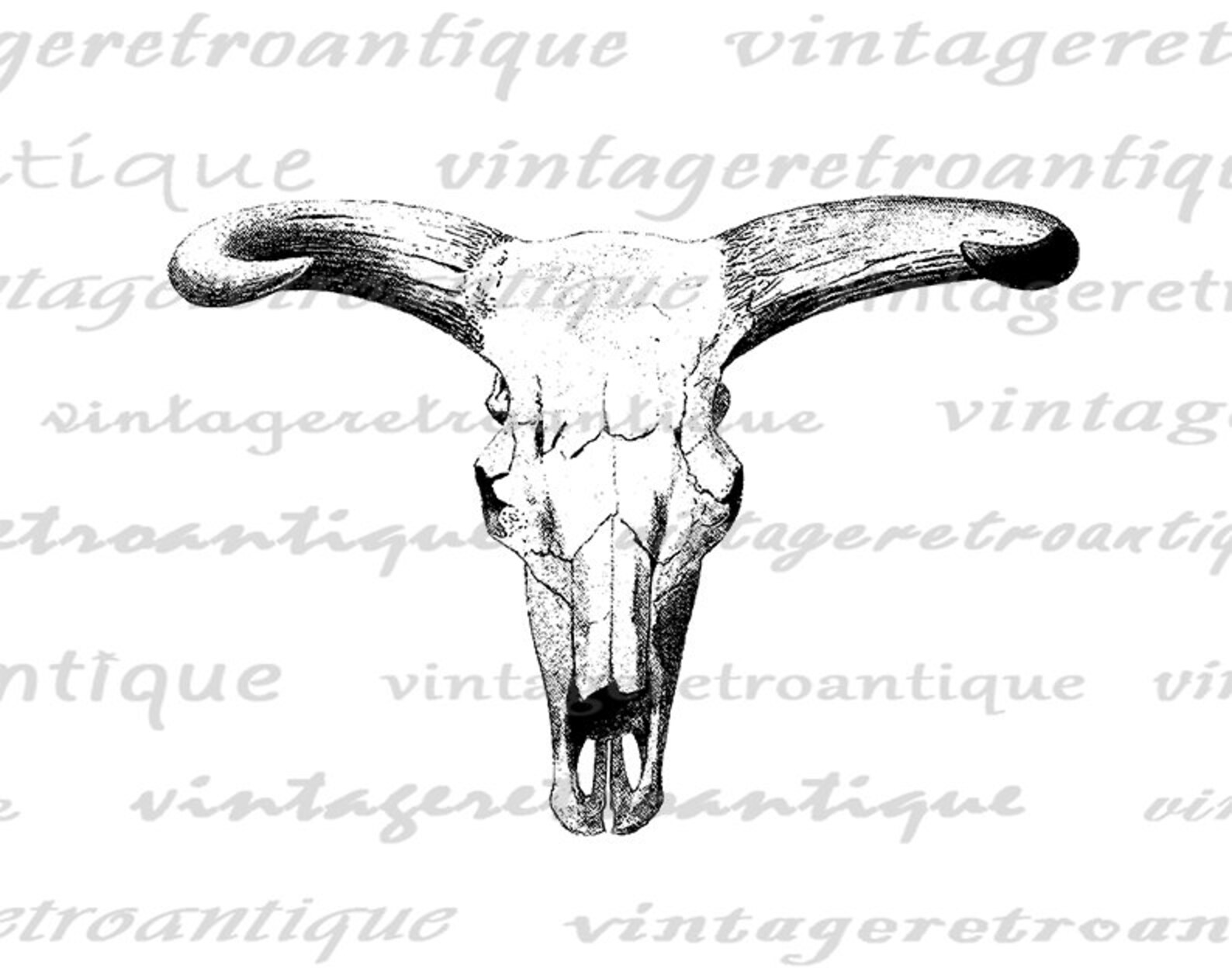 Printable Graphic Western Cow Skull Download Bull Horns Image - Etsy
