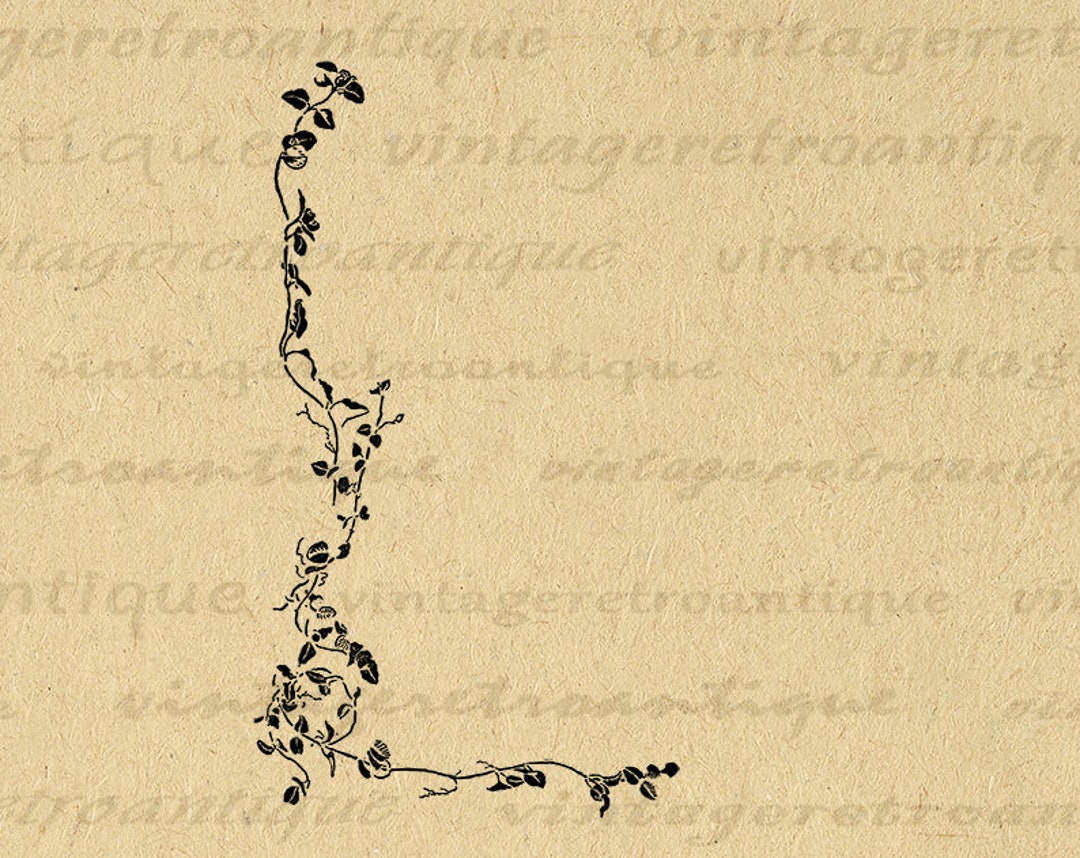 Printable Vine Leaf Image Design Digital Illustration Leaves Element ...