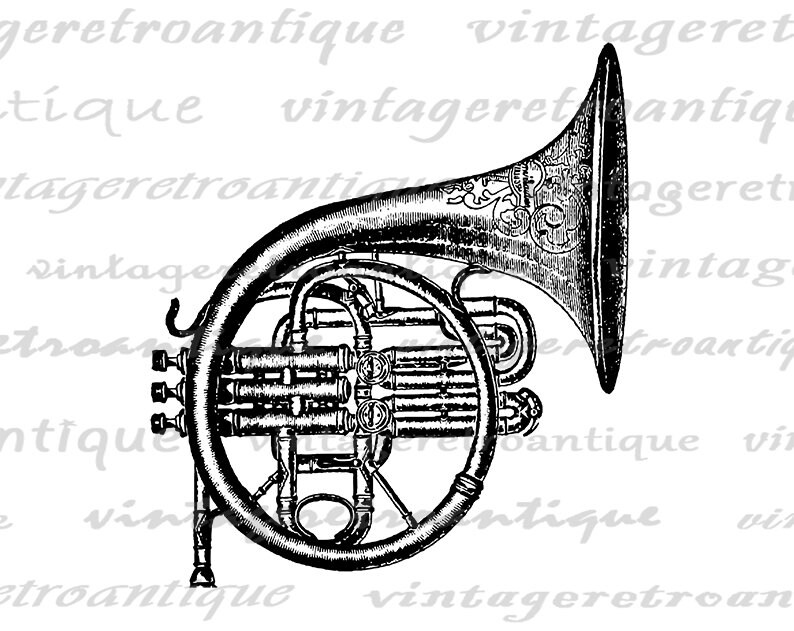 Printable French Horn Graphic Brass Musical Instrument Music - Etsy