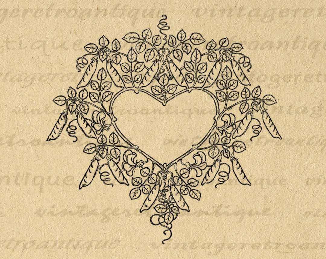 Heart Shaped Leaf Vine Frame Printable Download Elegant Heart Ornament ...