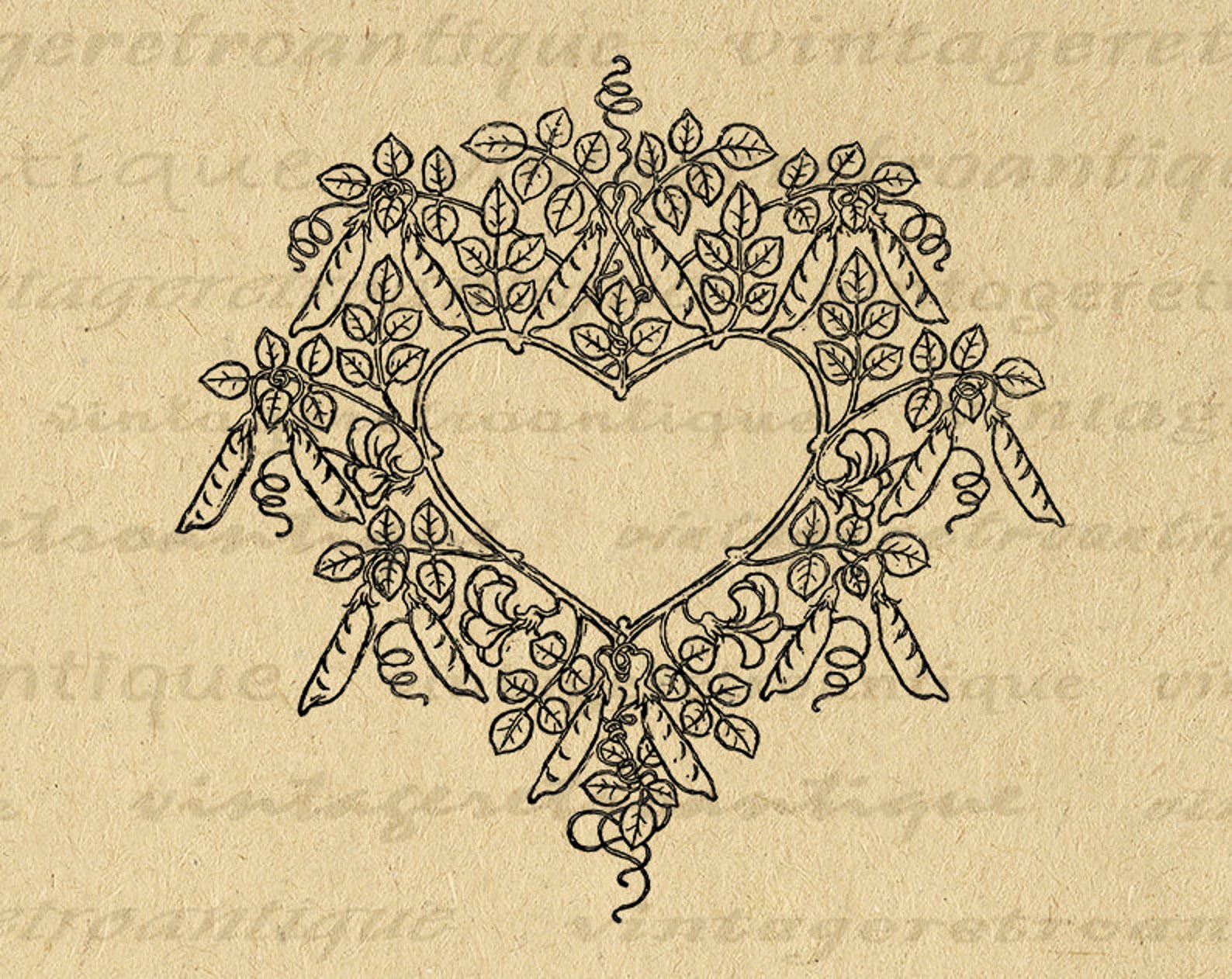 Heart Shaped Leaf Vine Frame Printable Download Elegant Heart - Etsy