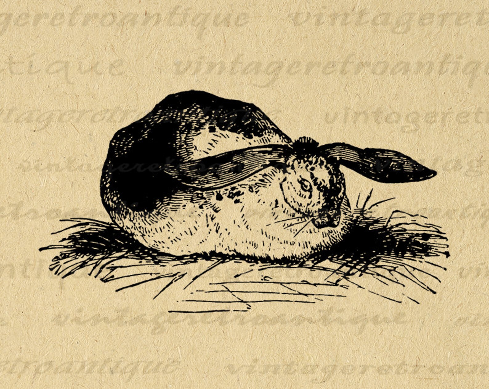 Printable Image Floppy Ear Bunny Rabbit Graphic Digital Download ...