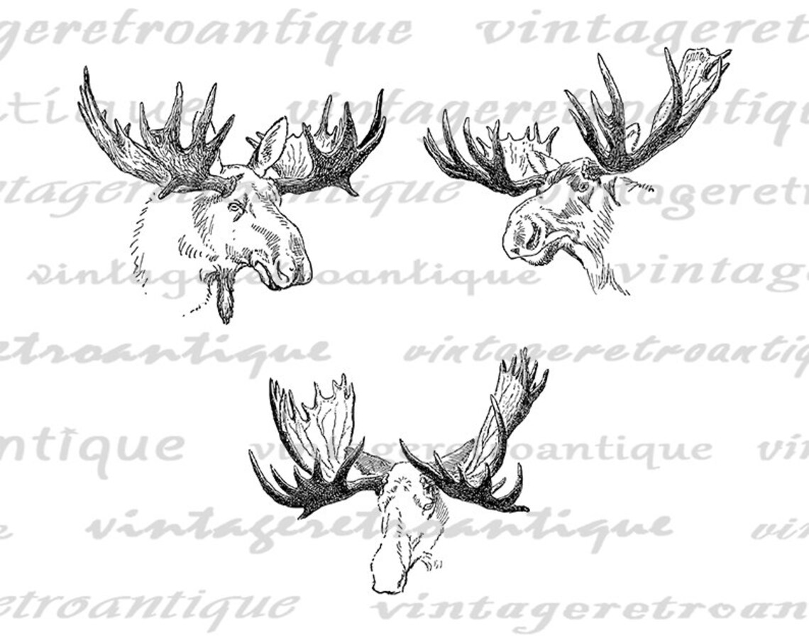 Digital Printable Moose Antlers Image Set Collage Sheet Download ...