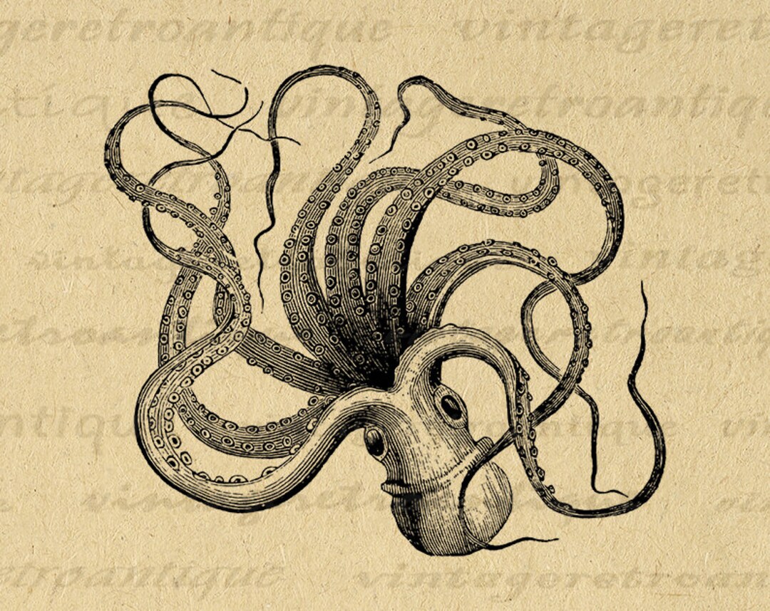 Octopus Graphic Printable Octopus Art Instant Download Ocean Image Sea ...