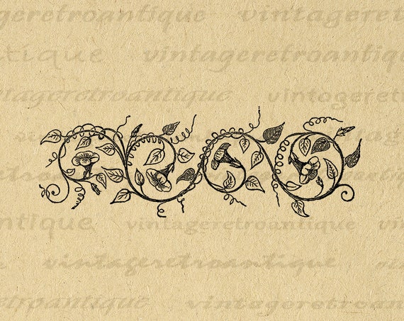 Printable Ivy Banner Digital Image Graphic Elegant Floral - Etsy