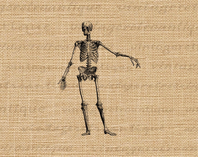 Printable Skeleton Diagram Graphic Digital Image Artwork - Etsy