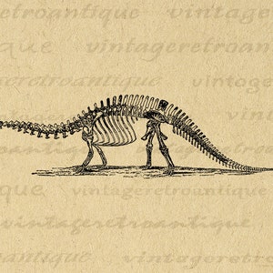 Brontosaurus Dinosaur Skeleton Printable Digital Graphic Image Download ...