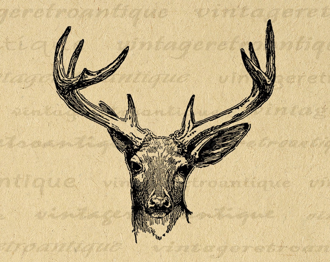 Printable Antique Deer Graphic Instant Download Deer Antlers Image ...