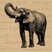 Printable Elephant Graphic Digital Antique Elephant Image Elephant ...