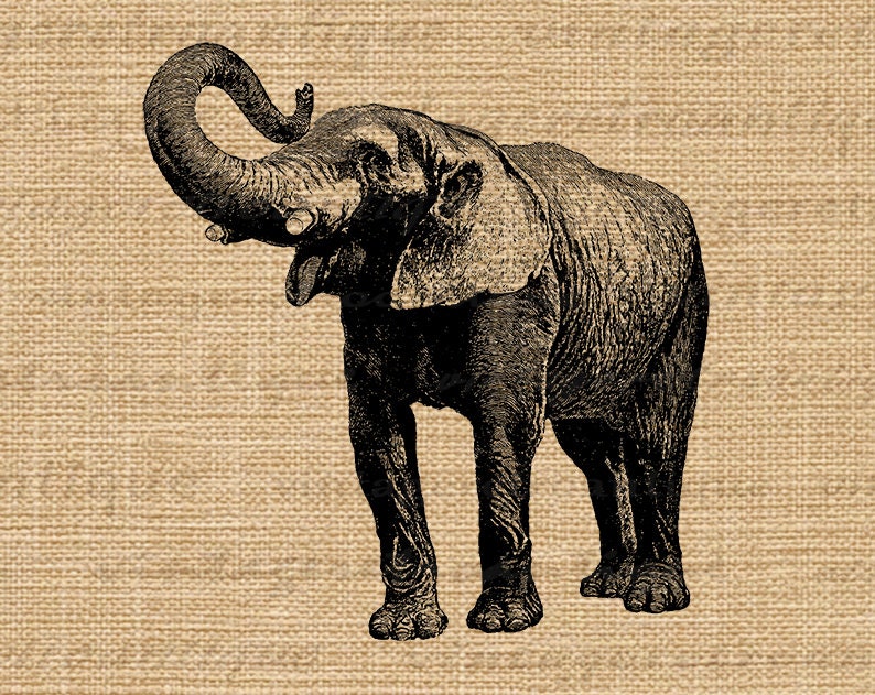 Printable Elephant Graphic Digital Antique Elephant Image Elephant ...