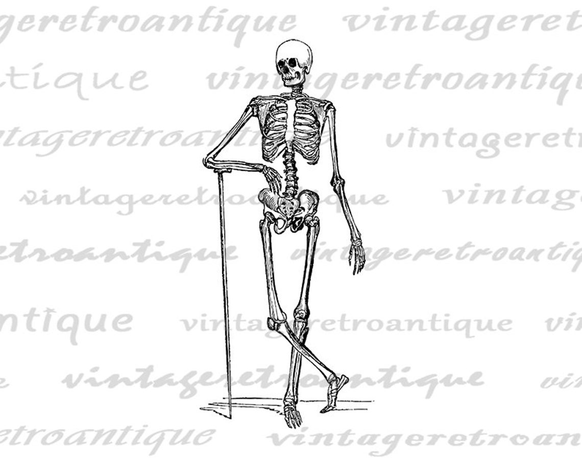 Digital Printable Skeleton Graphic Human Skeleton Download - Etsy
