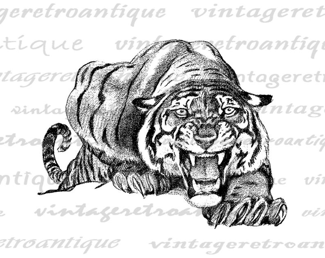 Printable Stalking Tiger Image Graphic Wild Cat Digital Image Download ...