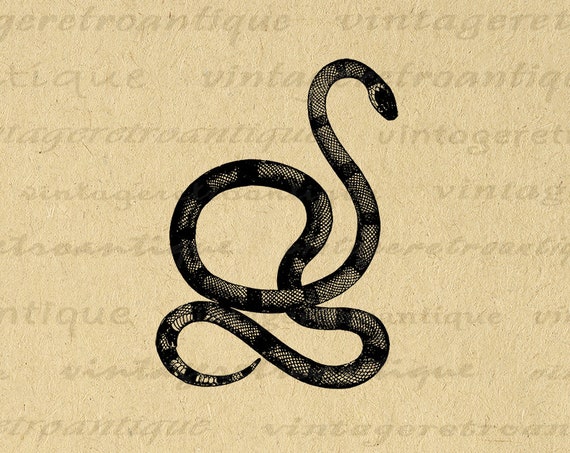 Printable Snake Digital Image Download Snake Illustration - Etsy