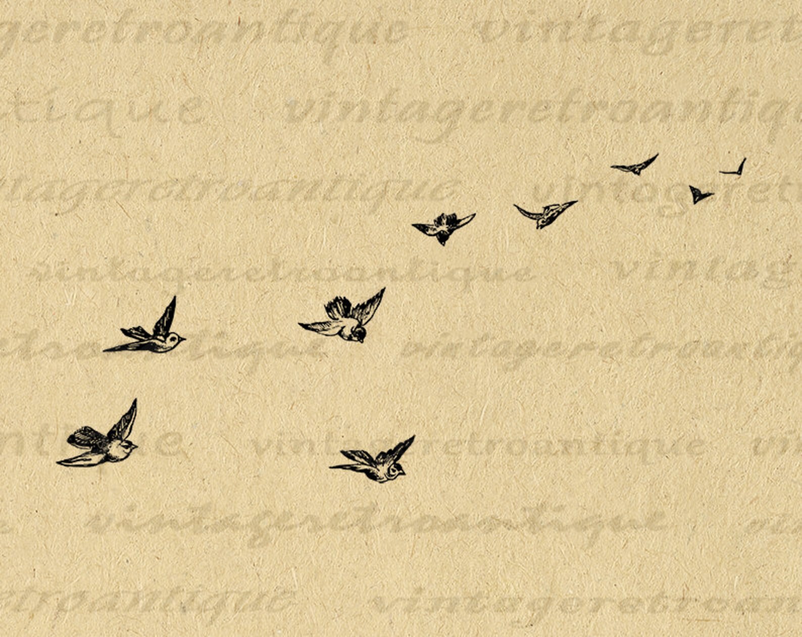 Digital Printable Flying Birds Image Download Graphic - Etsy