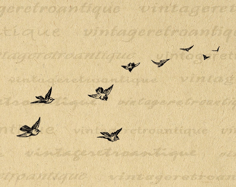 Digital Printable Flying Birds Image Download Graphic - Etsy