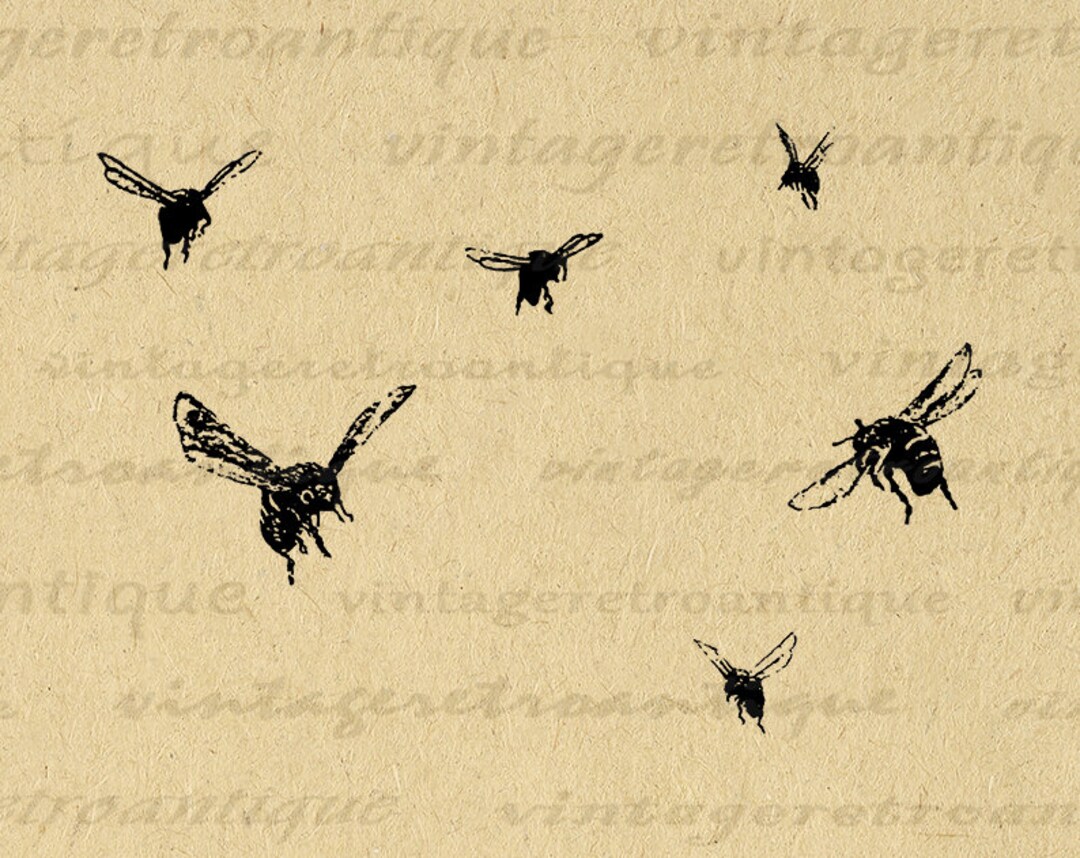 Digital Graphic Flying Bees Printable Bee Collage Sheet Antique Image ...