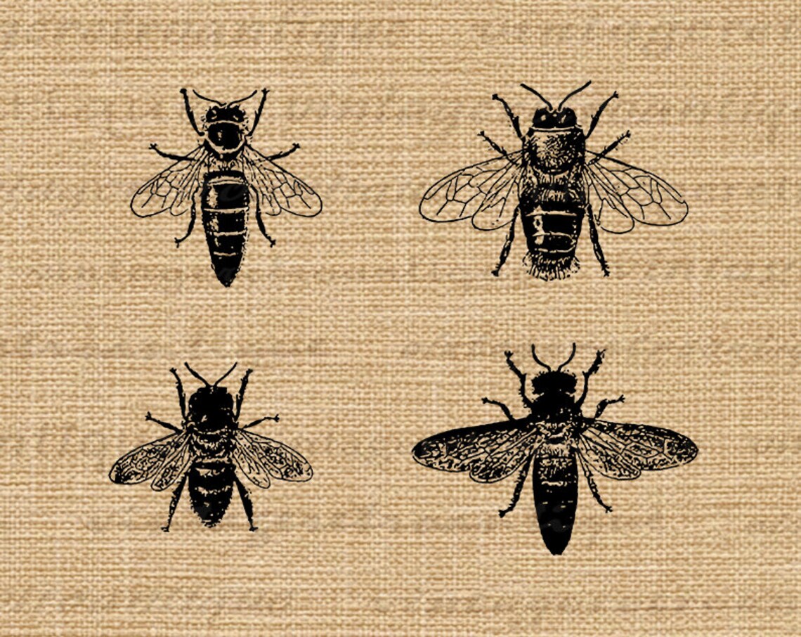 Printable Graphic Bee Collage Sheet Image Bees Digital - Etsy
