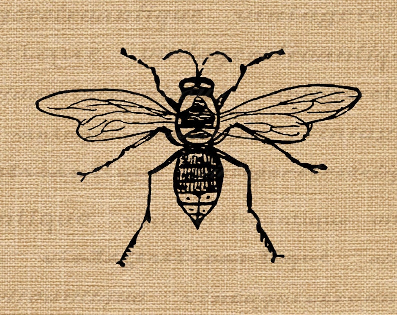 Digital Printable Bee Graphic Insect Download Illustration - Etsy
