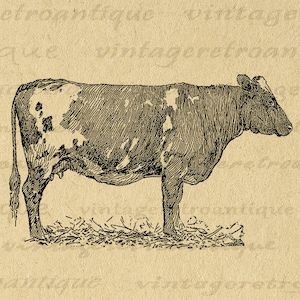 Printable Image Antique Cow Graphic Farm Animal Illustration Download ...