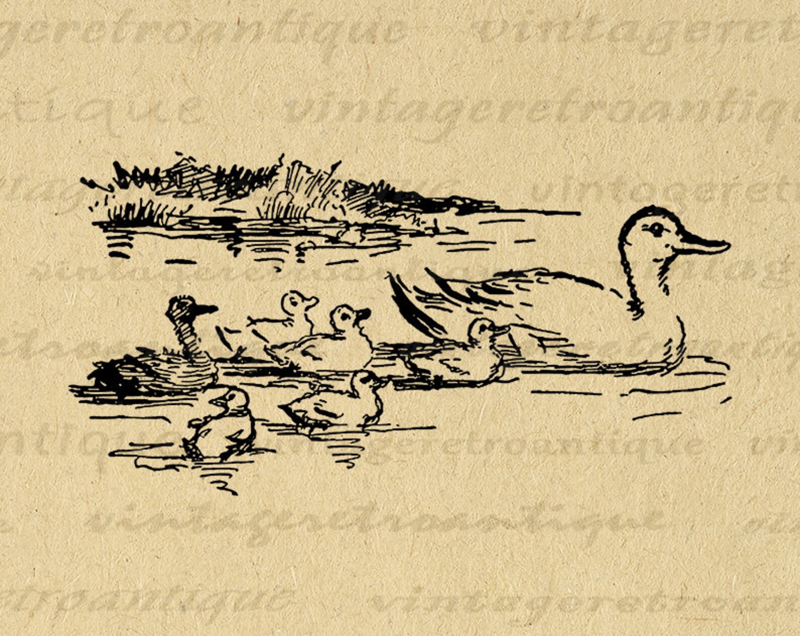 Duck With Duckings Image Printable Ducks Art Duck Graphic Birds ...