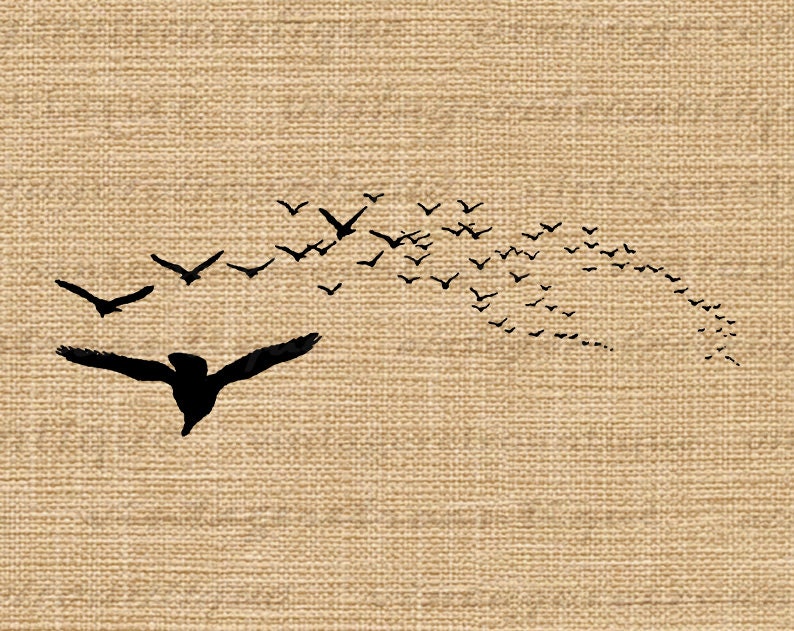 Birds in Flight Image Graphic Digital Flying Bird Printable Antique ...