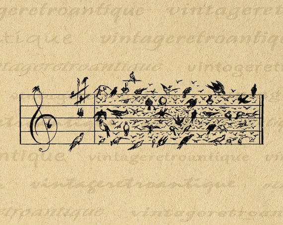 Birds Music Notes Printable Image Graphic Musical Notation - Etsy