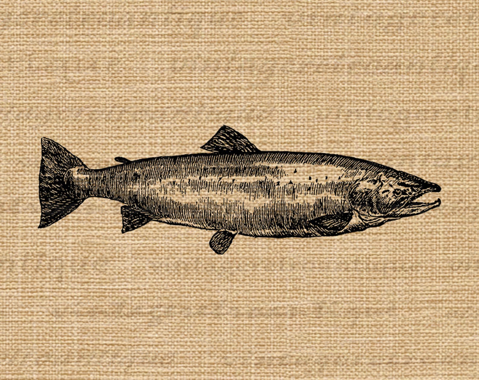 Digital Salmon Fish Printable Image Graphic Instant Download | Etsy