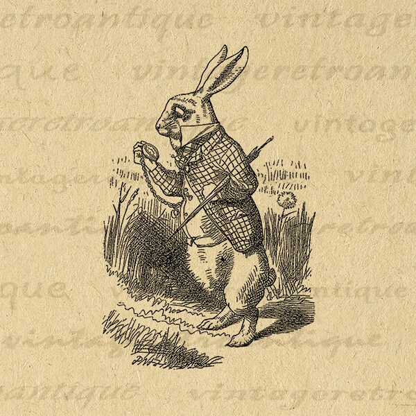 White Rabbit Art - Etsy