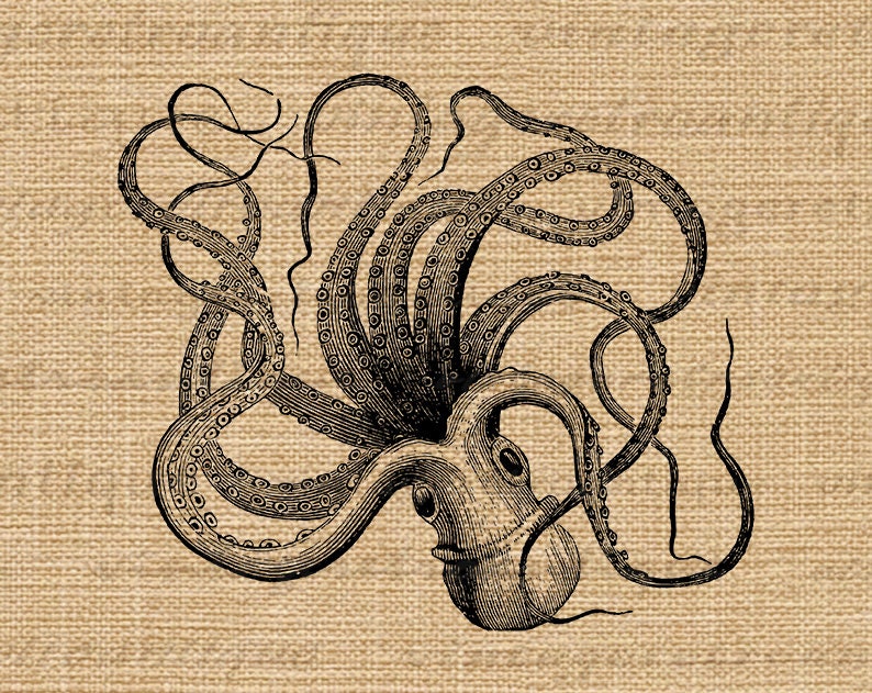 Octopus Graphic Printable Octopus Art Instant Download Ocean - Etsy