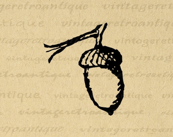 Acorn Image Digital Download Antique Autumn Art Printable | Etsy