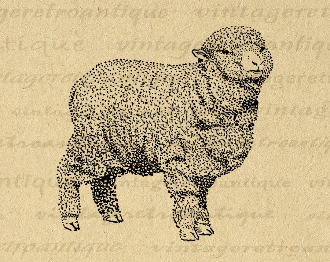 Printable Sheep Digital Image Vintage Sheep Illustration Graphic ...