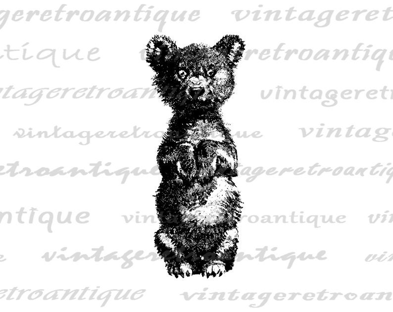 Digital Printable Little Bear Image Antique Bear Illustration Cute ...