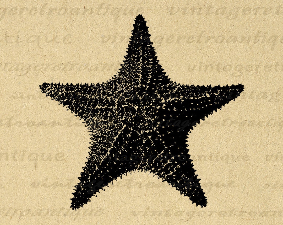 Starfish Printable Digital Image Illustration Graphic Ocean Sea ...