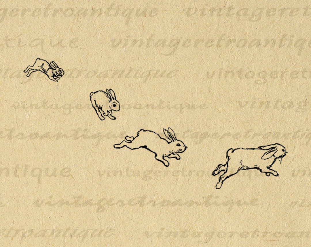 Printable Jumping Rabbits Graphic Download Easter Spring Bunnies ...