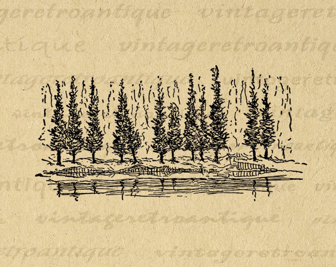 Printable Digital Pine Trees Download Antique Image Graphic Vintage ...