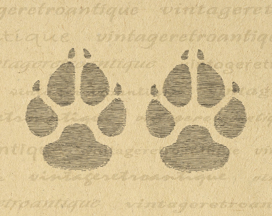 Dog Paw Prints Digital Image Graphic Illustration Printable | Etsy